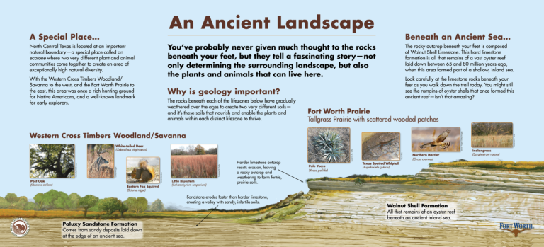 Interpretive Signage for Nature Parks - Interpretive Insights
