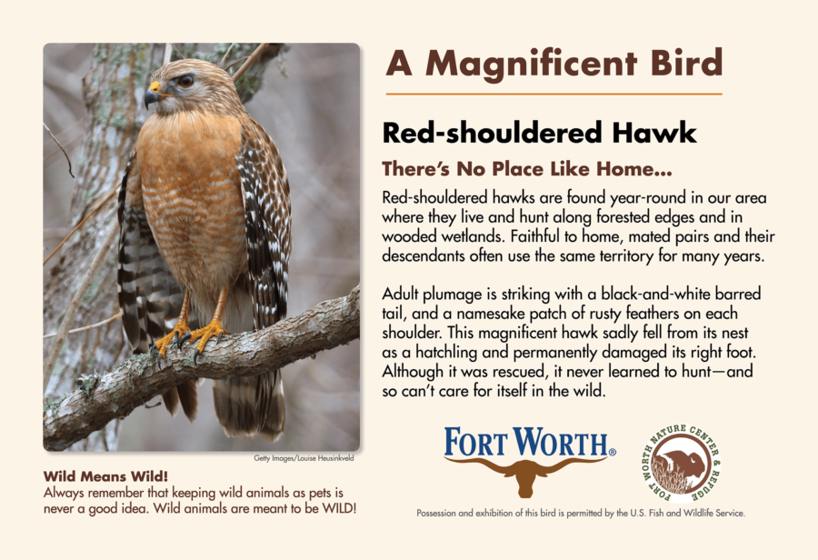 Interpretive Signage for Nature Parks - Interpretive Insights