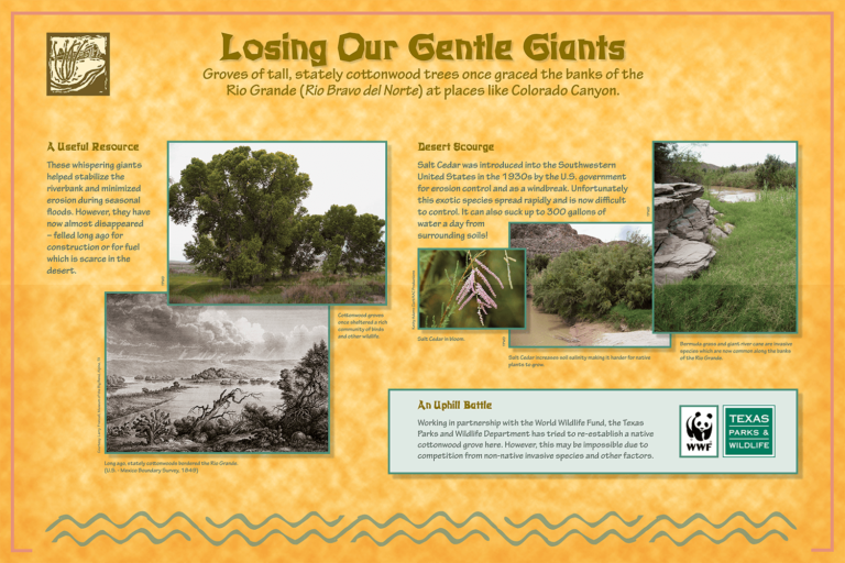 State Park Signage - Trailhead and Wayfinding Signs - Interpretive Insights