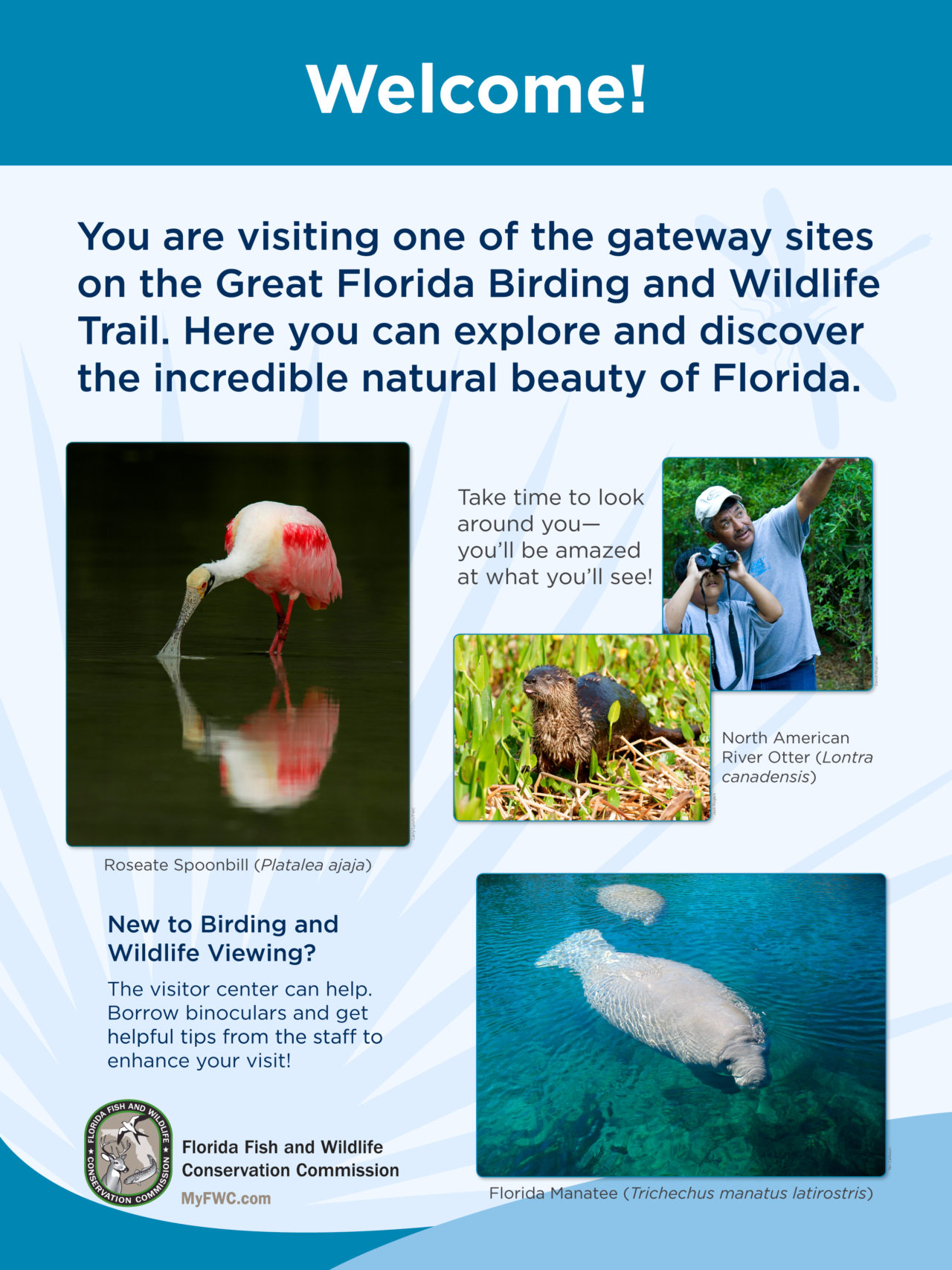 - Interpretive Insights