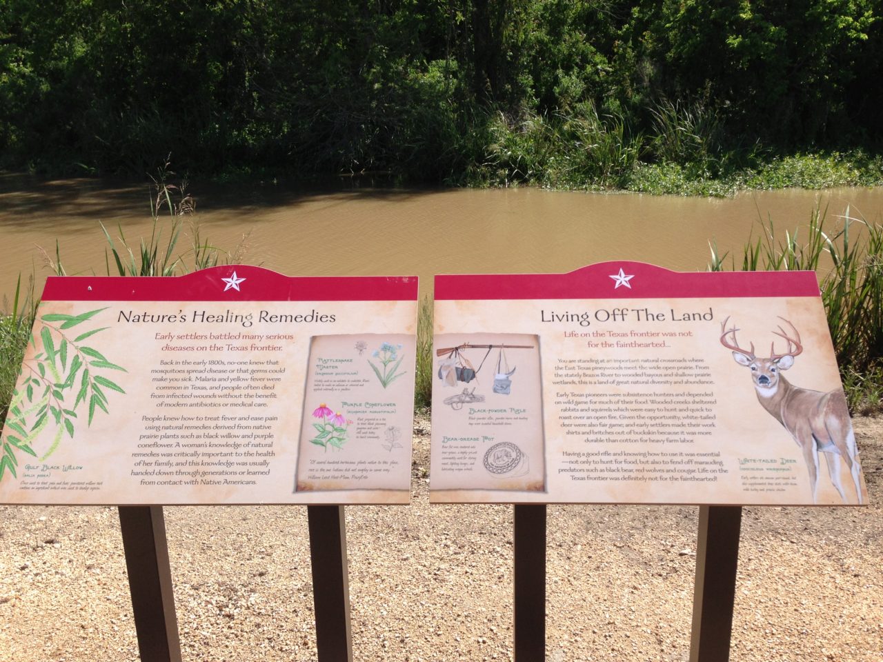 - Interpretive Insights